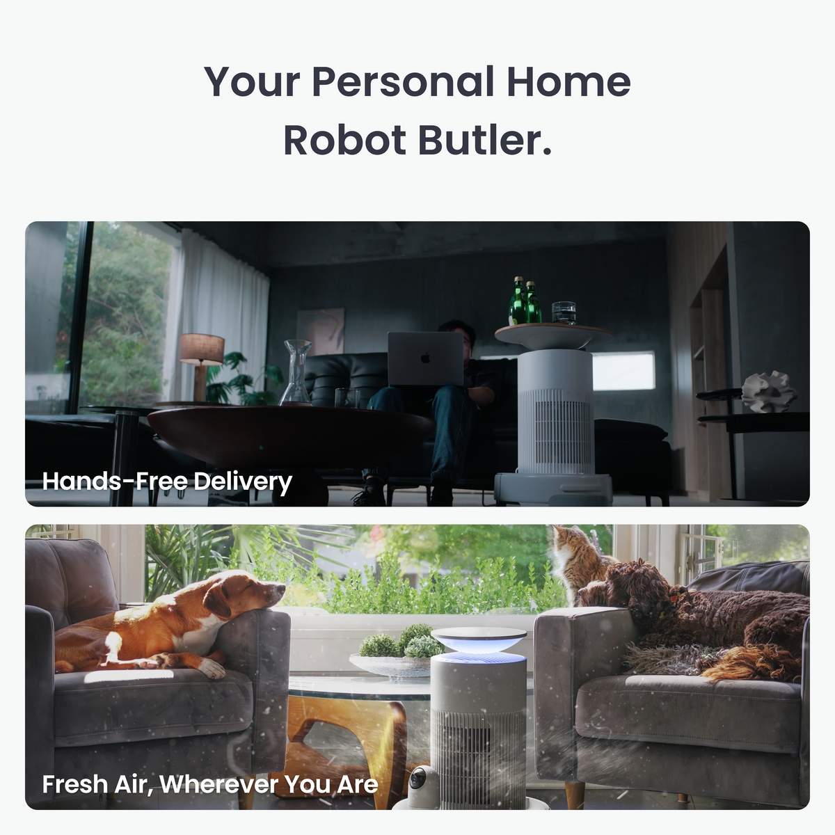 SwitchBot Mini Robot Vacuum K20+ Pro | The World’s First Multi-Tasking ...